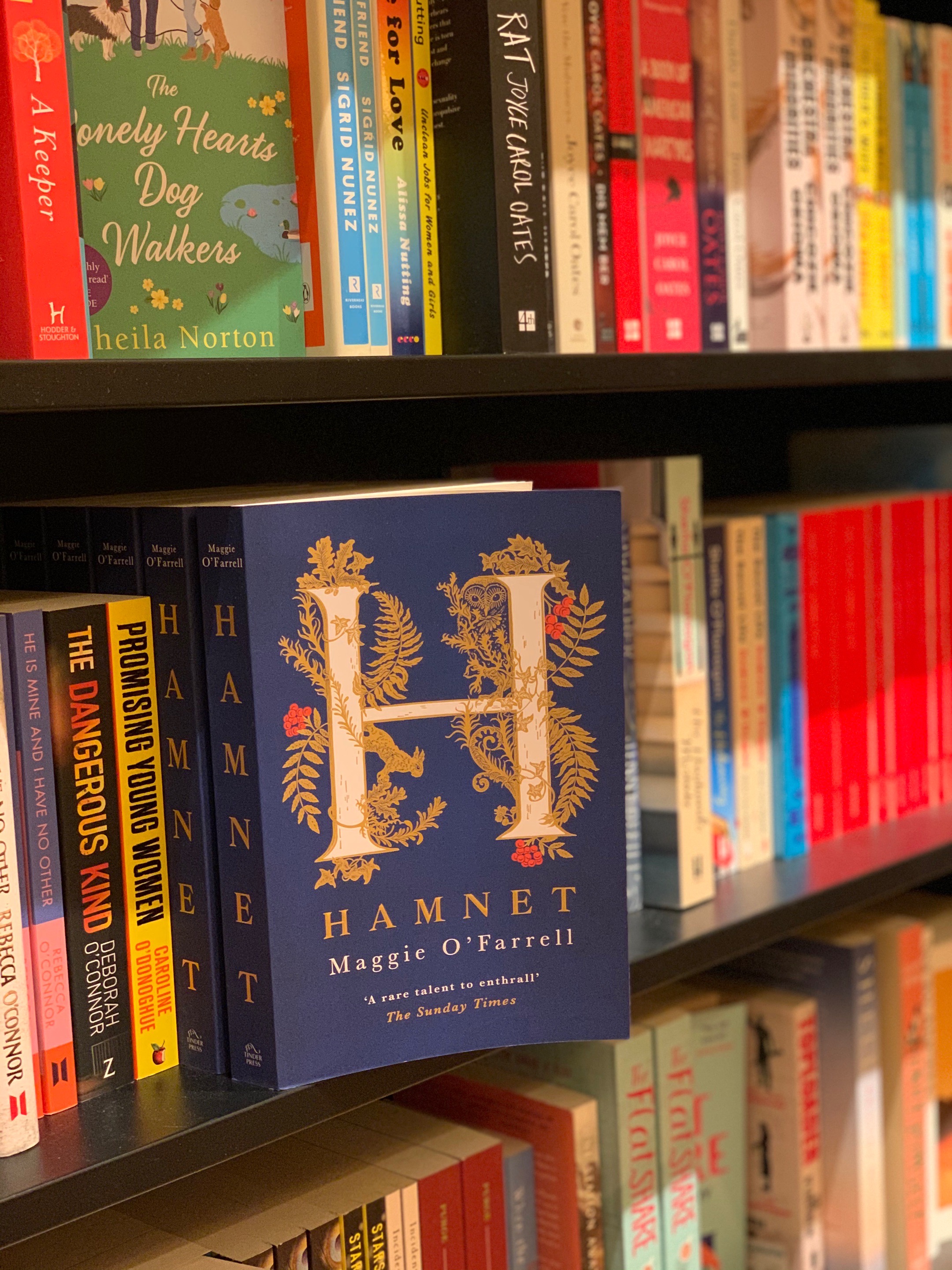 Hamnet by Maggie O’Farrell Book Review: And This Gives Life to Thee ...